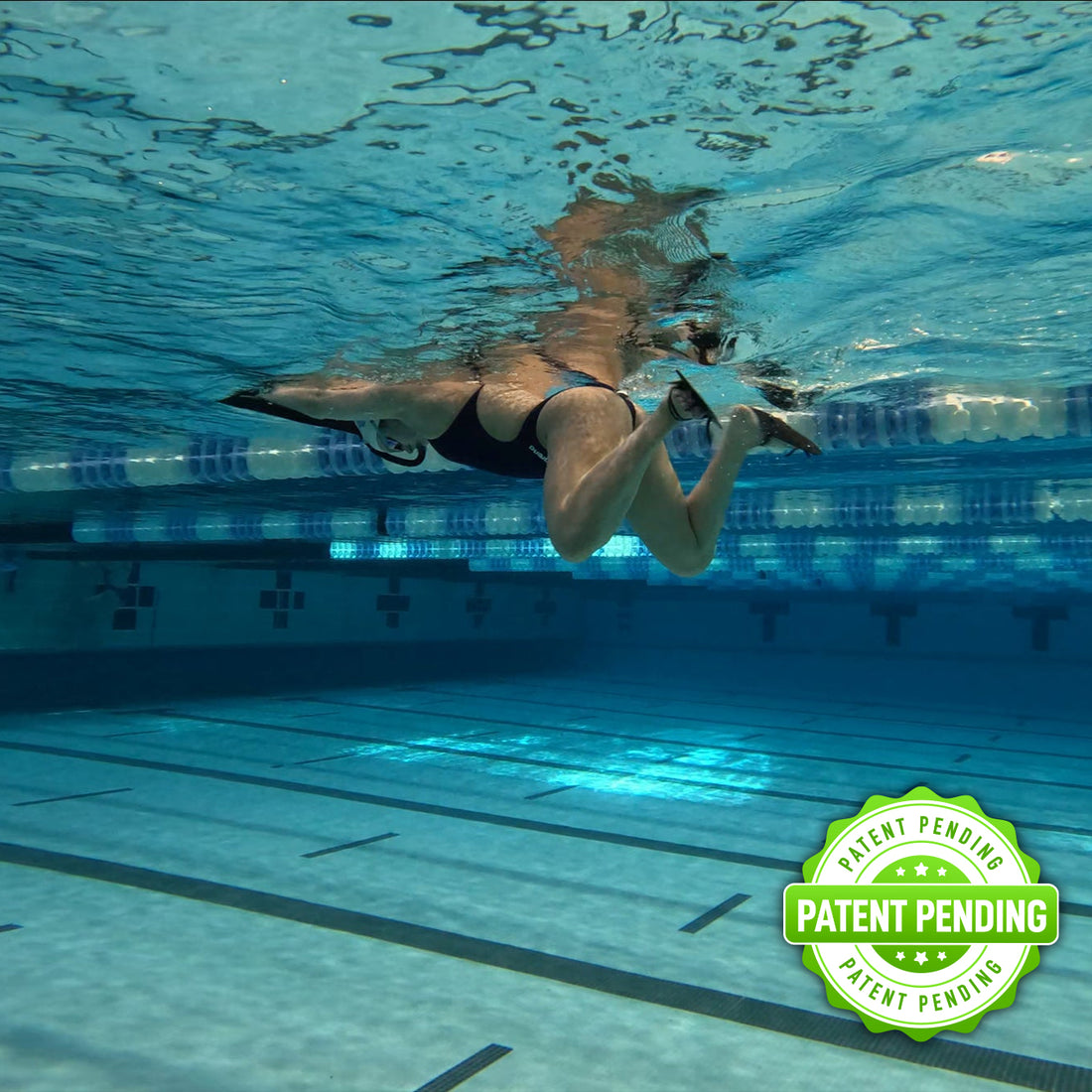 The Swim Shed Collective